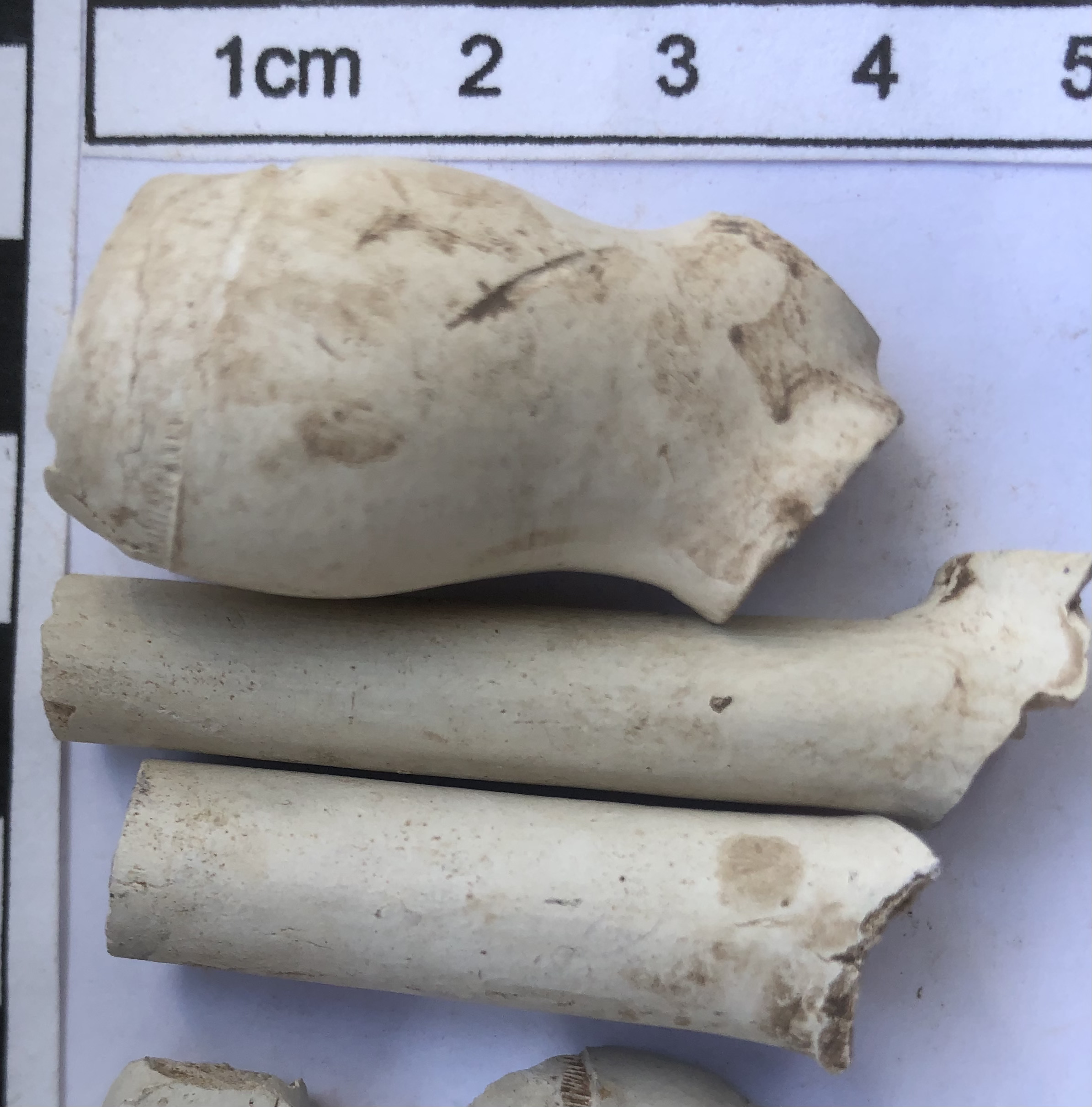 9A CHURCH STREET SITE – Southwell Community Archaeology Group